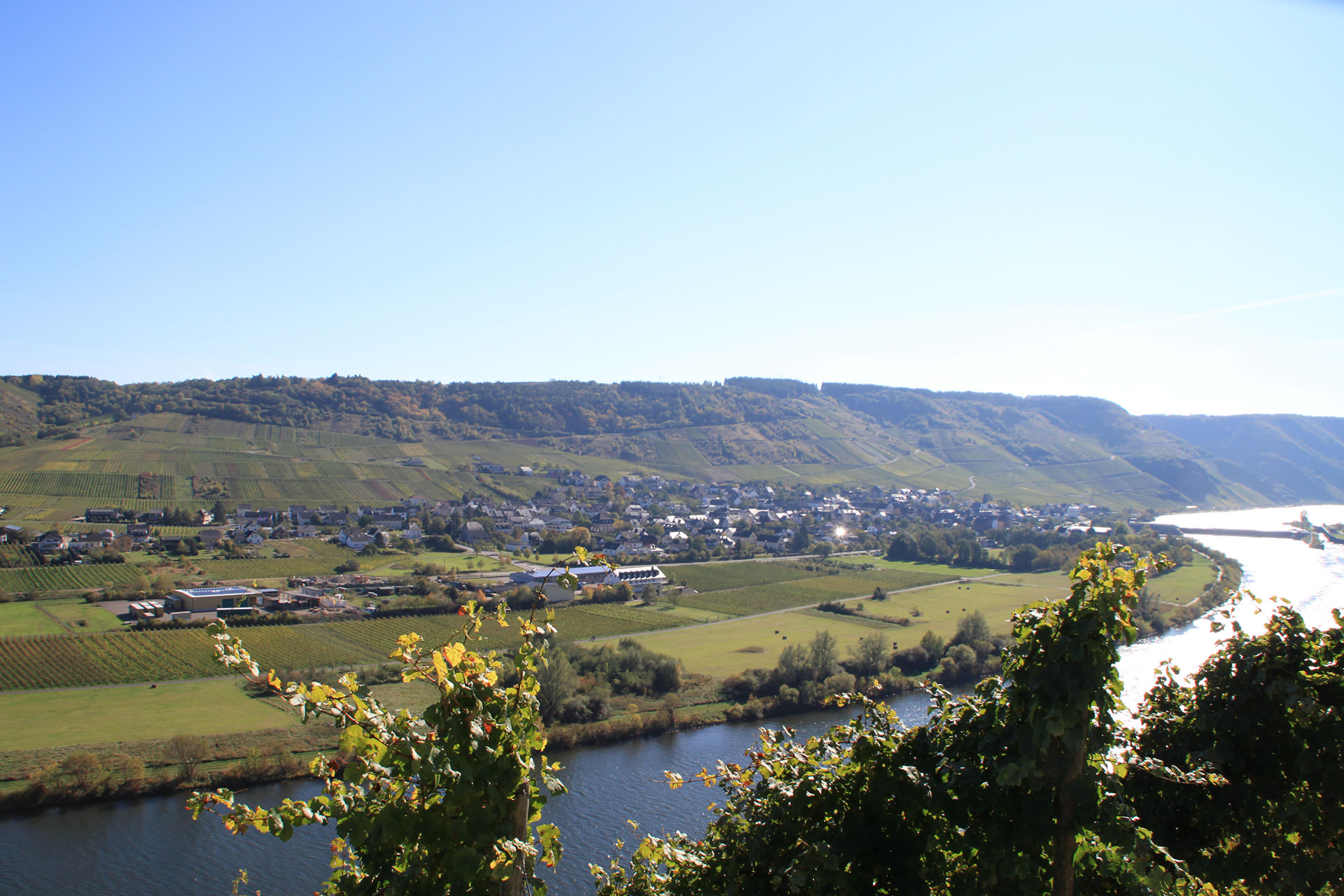 Startseite - Weingut Thoemmes