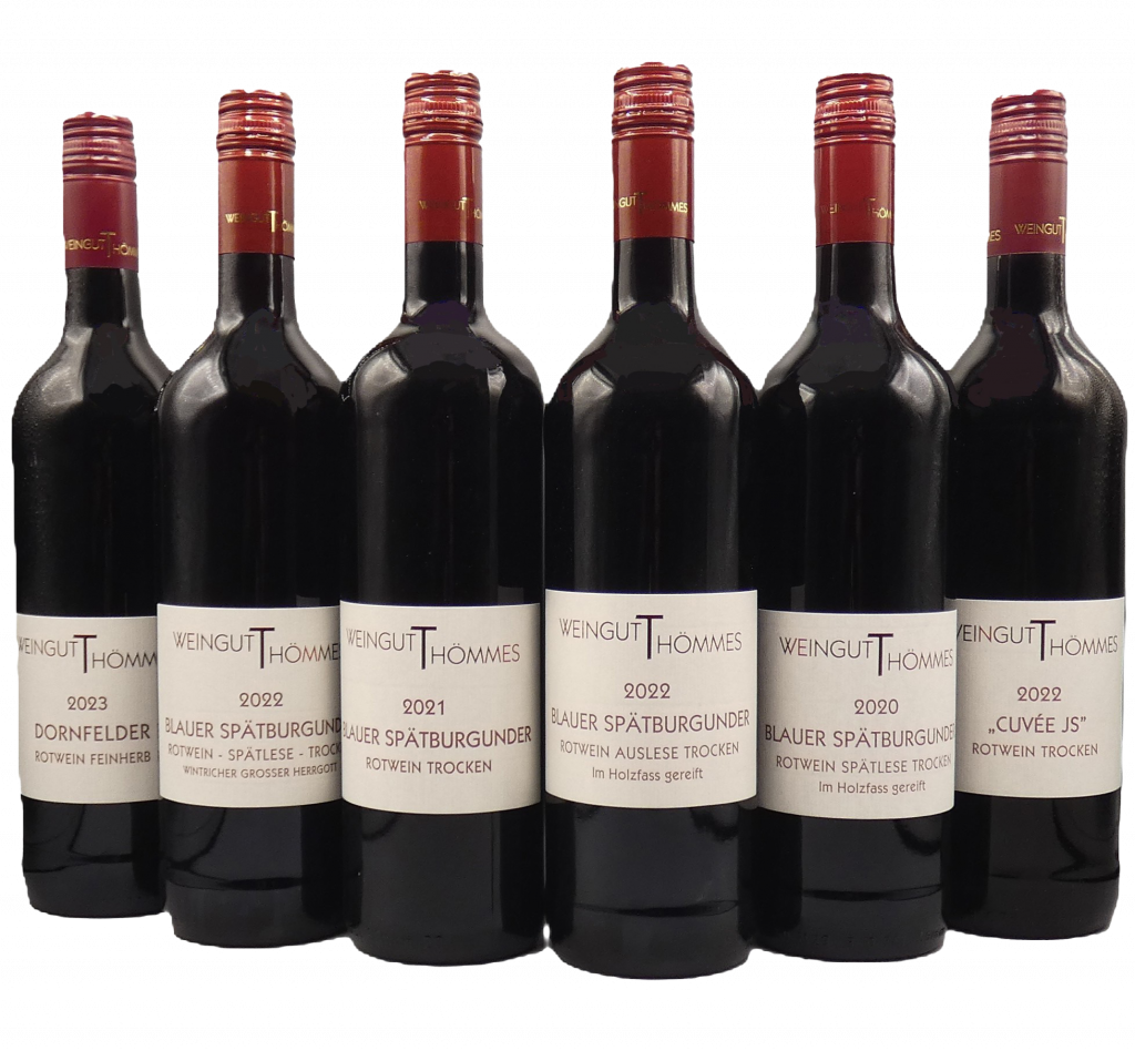 Kennenlernpaket – Rotweine - Weingut Thoemmes